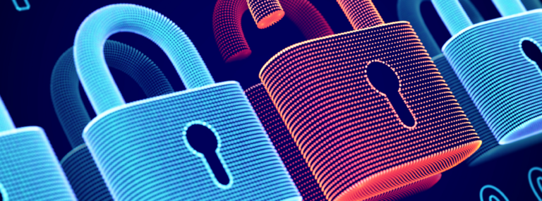 Best Practices in Leveraging Firewalls and Encryption